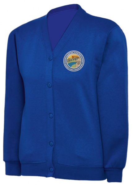 Abercynon Community Primary School Hoodie - MST Sports Ltd